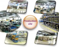 Stages of Management control Systems - Control Systems